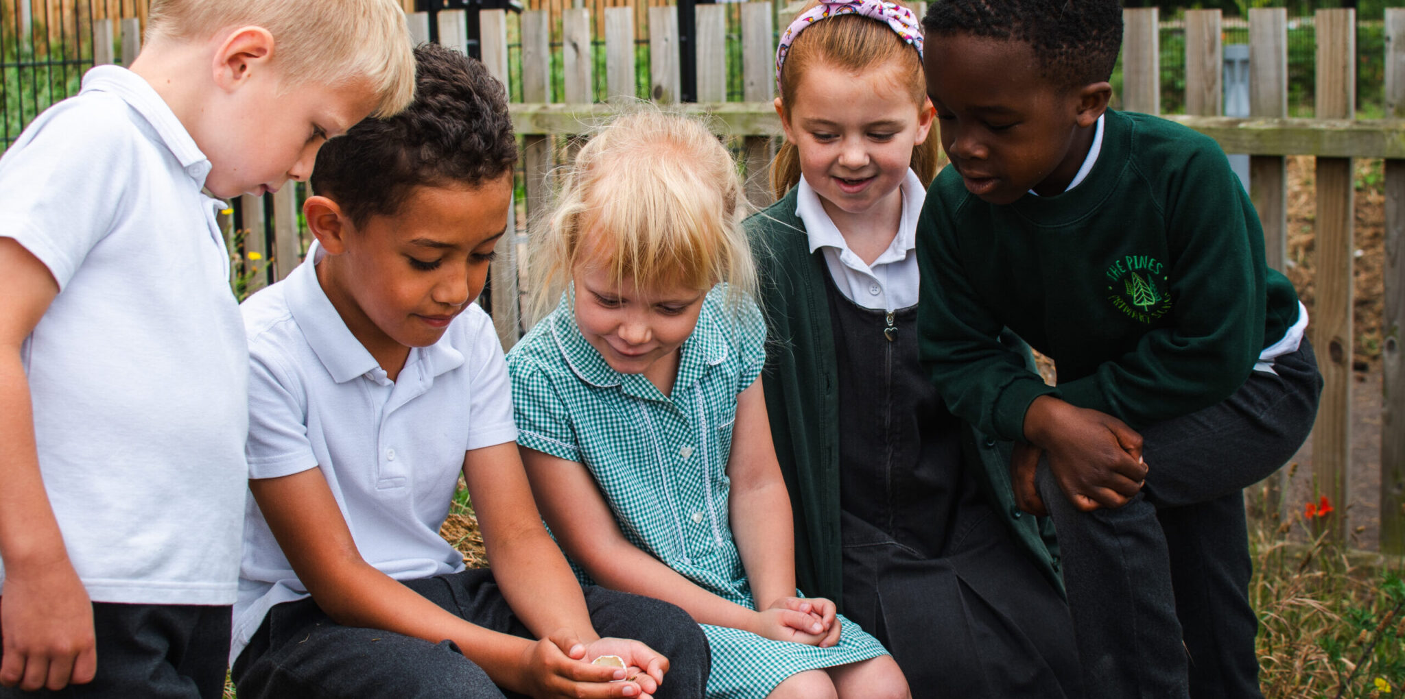 Forest School – The Pines Primary School