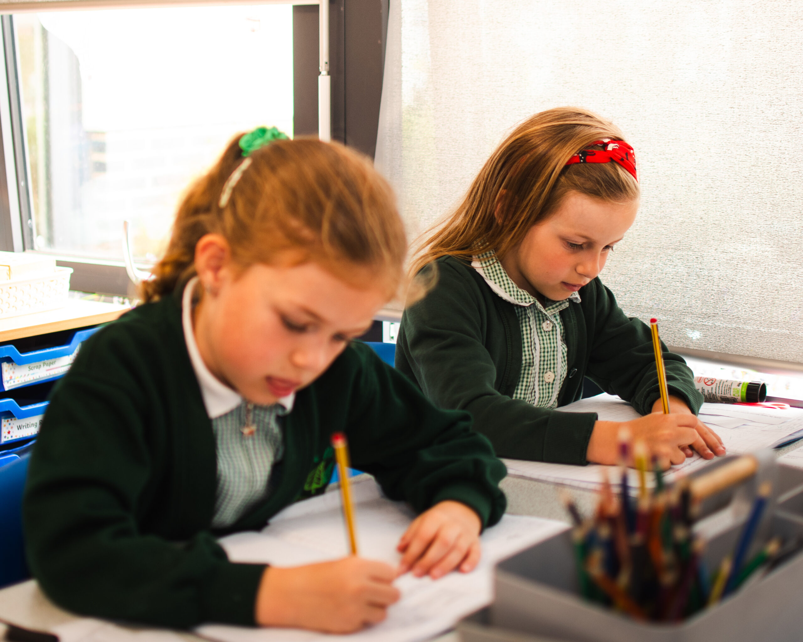 Squirrel Class (Y1) – The Pines Primary School