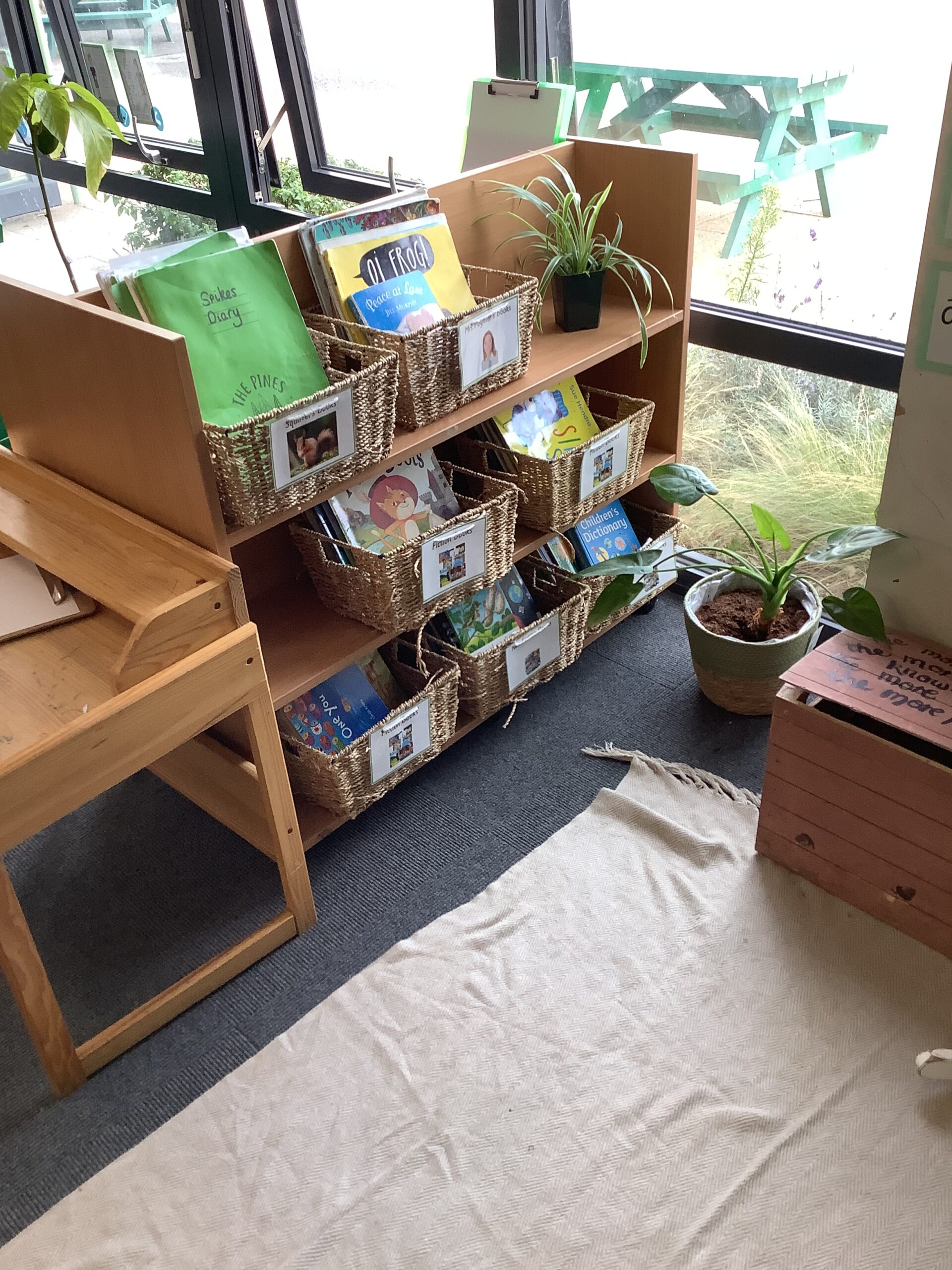 Squirrel Class (Y1) – The Pines Primary School